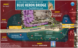 Blue Heron Bridge Tides | Scuba Schedules